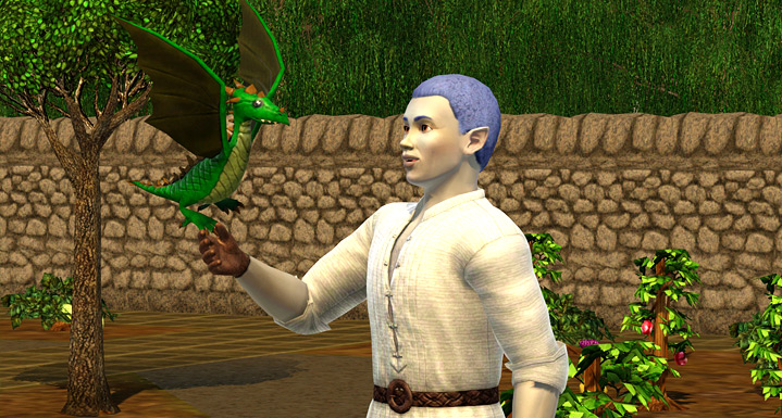 Dragon Valley - Store - The Sims™ 3